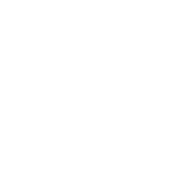 Binary Web Services – Soluciones de Software