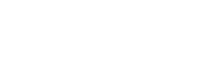 Binary Web Services – Soluciones de Software